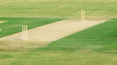 Cricket Pitch - Turf Matters