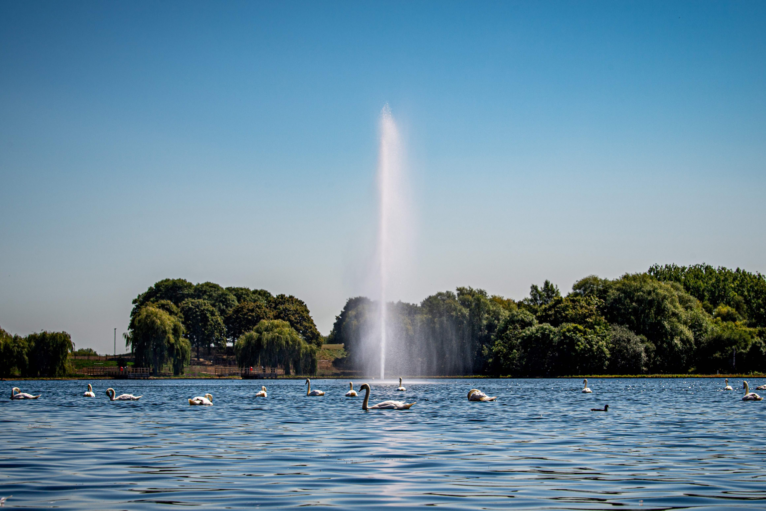 Otterbine brings new life to Southmere Lake - Turf Matters