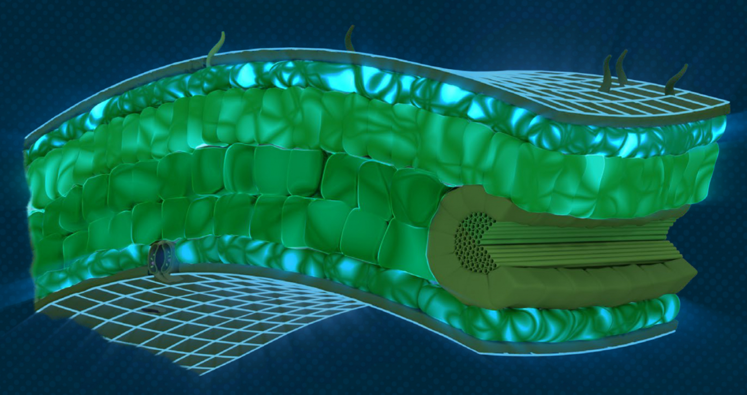 Hicure biostimulant to build energy and protect turf - Turf Matters
