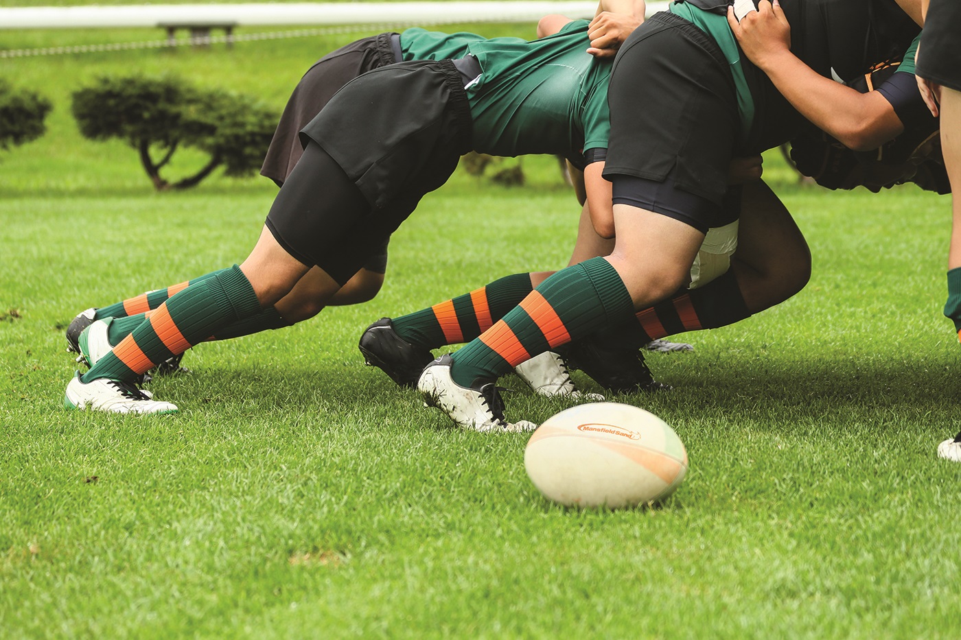 Quality sand = healthy sports pitches - Turf Matters