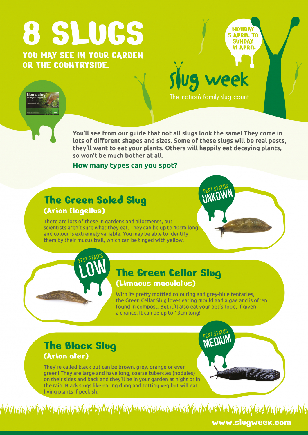 Announcing Slug Week - Turf Matters